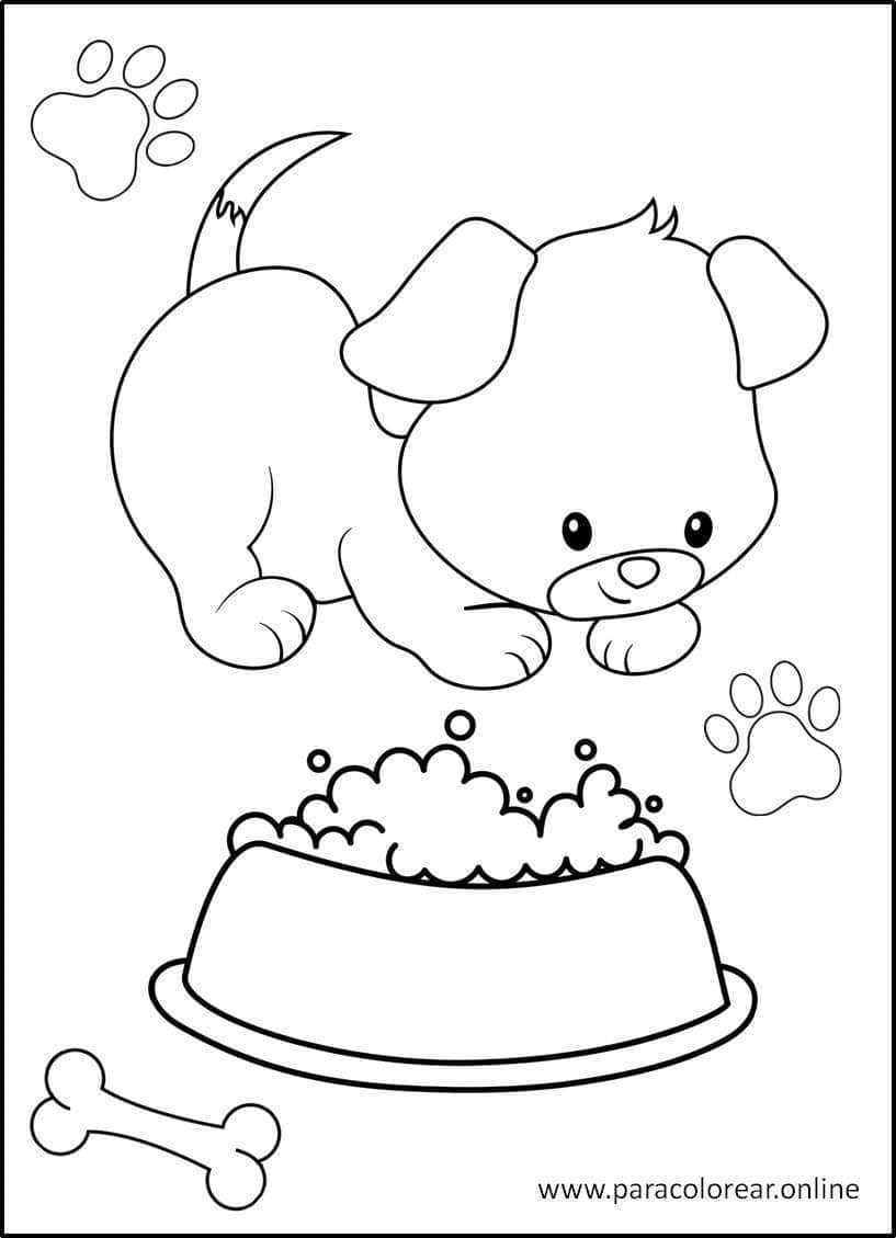 Los mejores Dibujos de Perros para Colorear Imprimir y Pintar 🐶